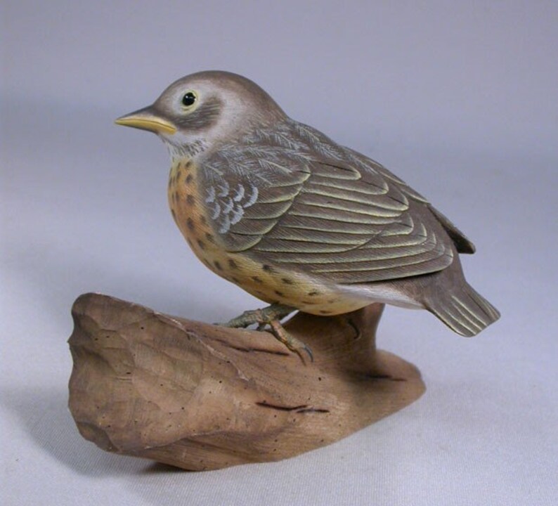 Baby American Robin Original Wood Carving - Etsy
