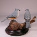 Tufted Titmouse Pair #2 Hand Carved and Hand Painted Wooden Bird - Etsy