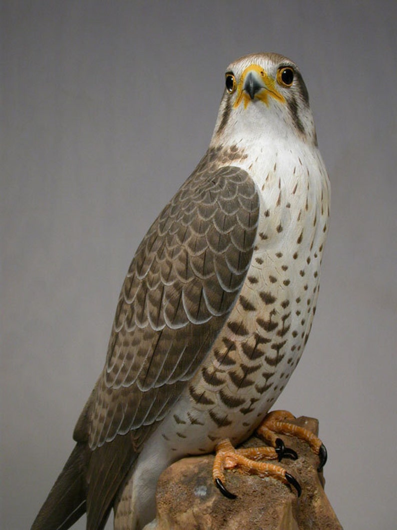 15 Inch Prairie Falcon Hand Carved Wooden Bird Carving - Etsy