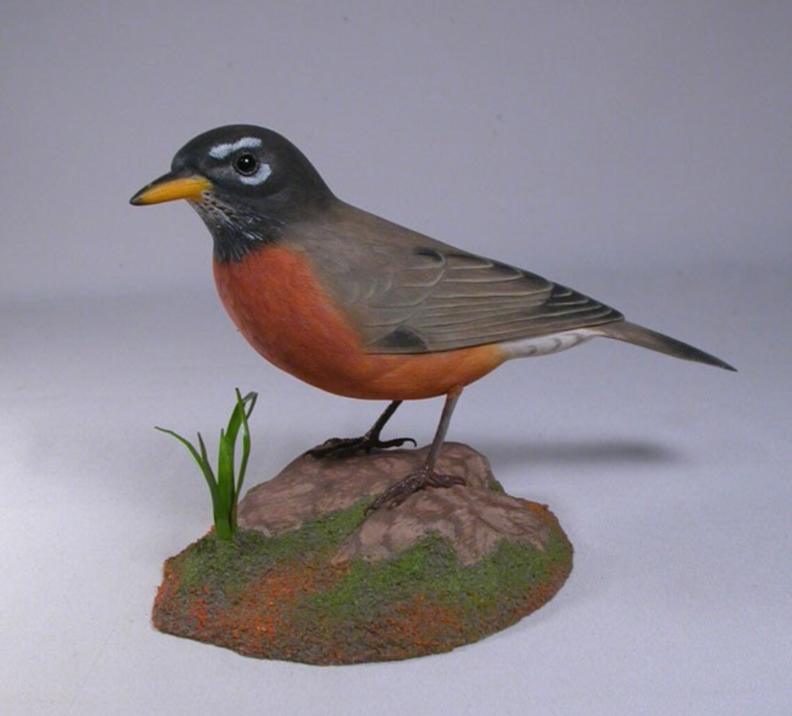 Life Size 9 Inch American Robin Wooden Carved Bird - Etsy