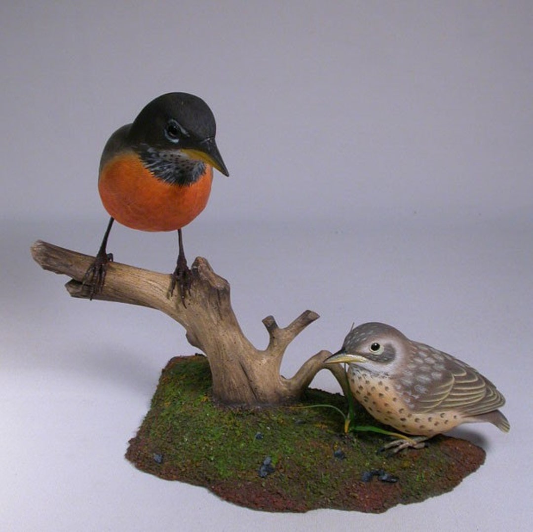 Life Size American Robin With a Baby Wood Carving - Etsy