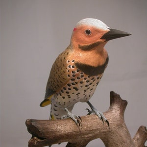 Northern Flicker Hand Carved and Hand Painted Wooden Bird Carving - Etsy