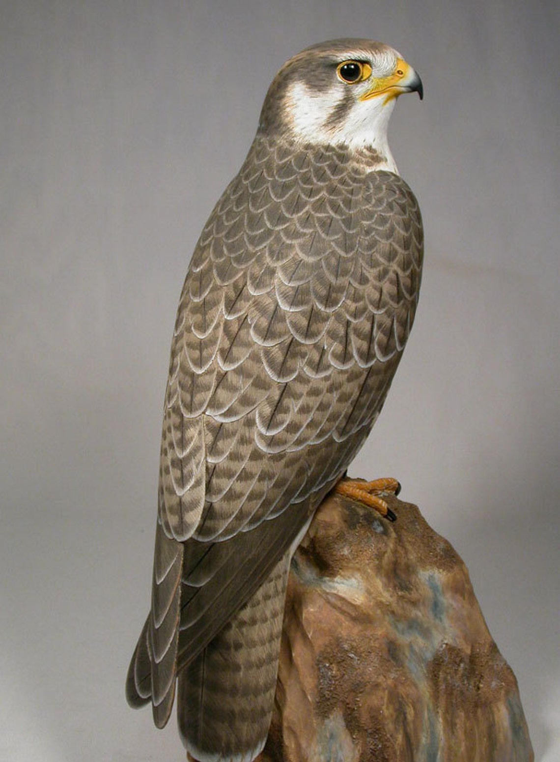 15 Inch Prairie Falcon Hand Carved Wooden Bird Carving - Etsy