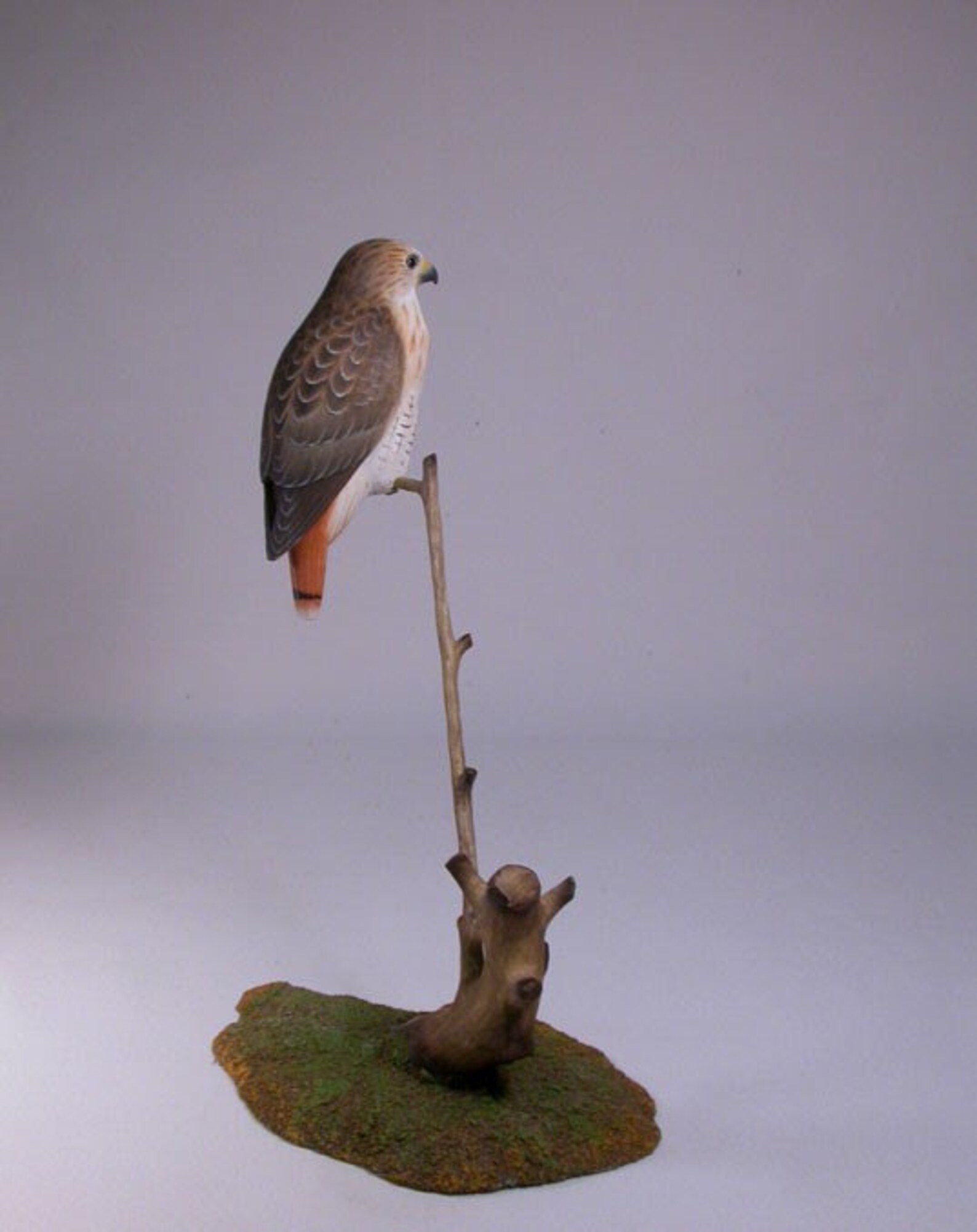 5-1/2 Inches Red-tailed Hawk Hand Carved and Hand Painted Wooden Bird ...