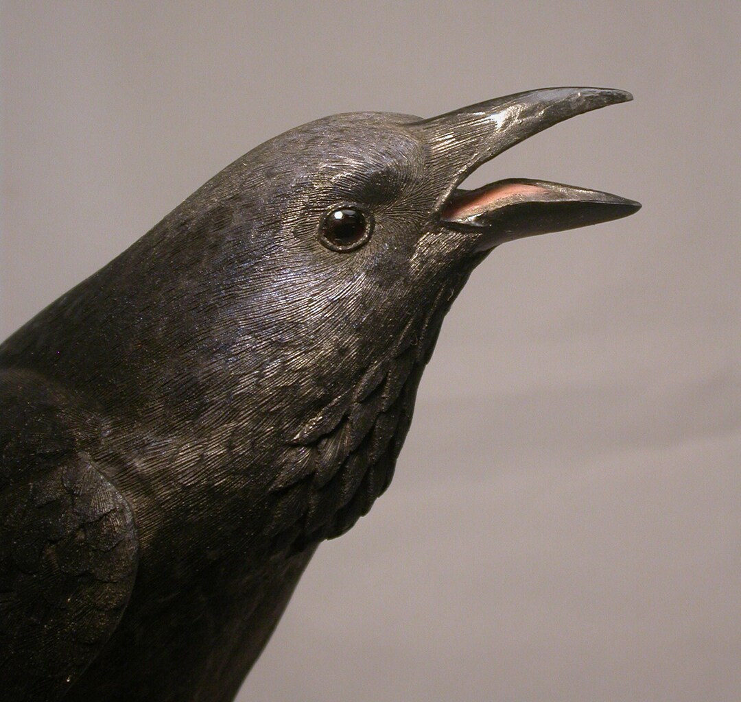 11 Inch Common Raven on Branch Hand Carved Wooden Bird - Etsy