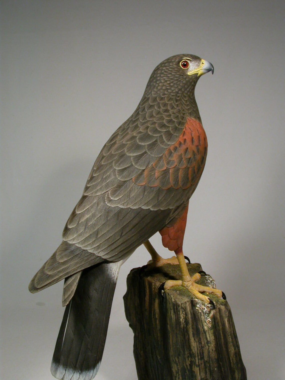 17 Harris's Hawk Hand Carved Wooden Bird Carving - Etsy