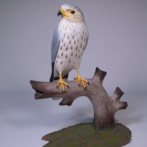 Life Size Merlin Wooden Carved Bird Carving - Etsy