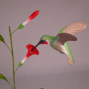 Open-winged Ruby-throated Hummingbird #3 Hand Carved Wooden Bird - Etsy