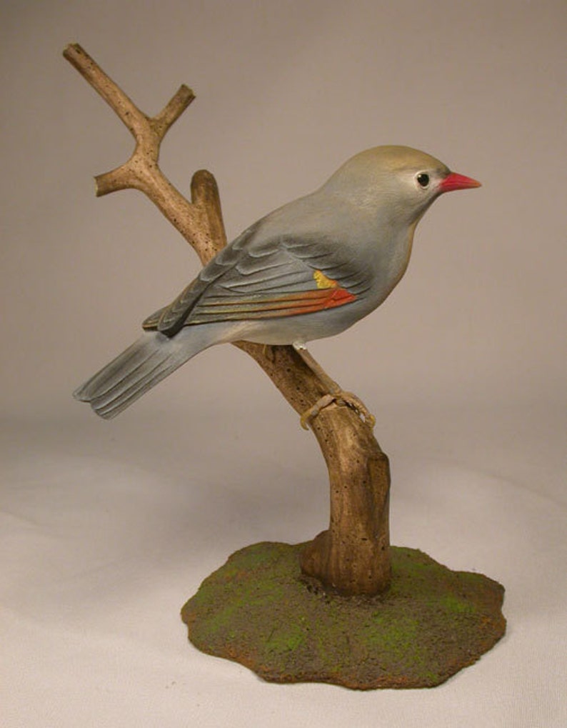 Pekin Robin Bird Carving Wood - Etsy