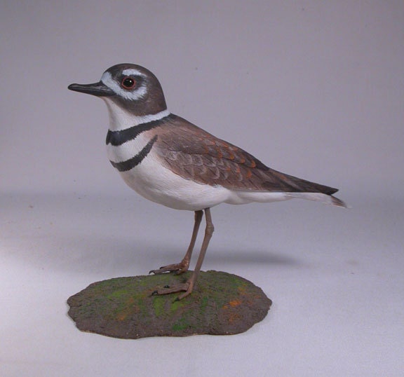 Killdeer Hand Carved and Hand Painted Water Bird - Etsy