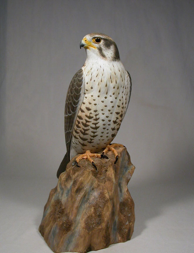 15 Inch Prairie Falcon Hand Carved Wooden Bird Carving - Etsy