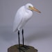 Great Egret Decoy Wood Carving - Etsy