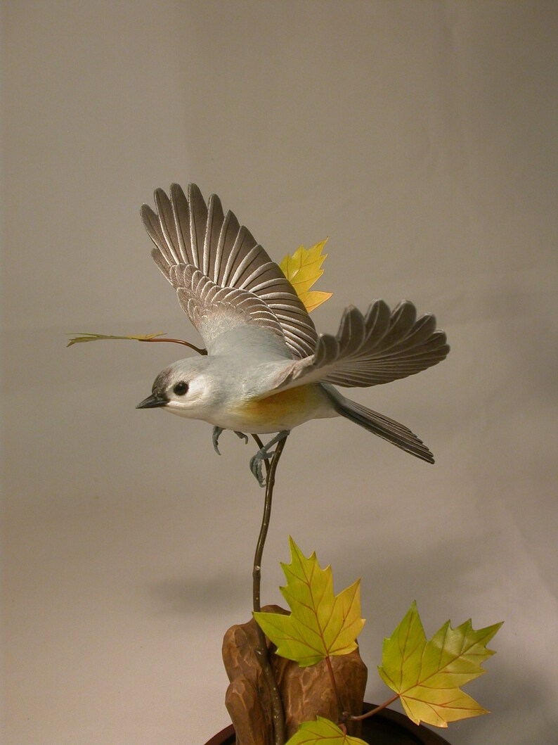 Open-winged Tufted Titmouse Hand Carved and Hand Painted - Etsy