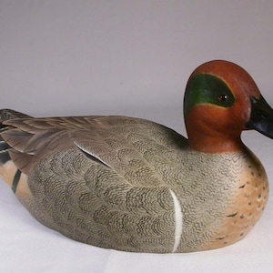 Green-winged Teal Hand Carved Wooden Bird - Etsy