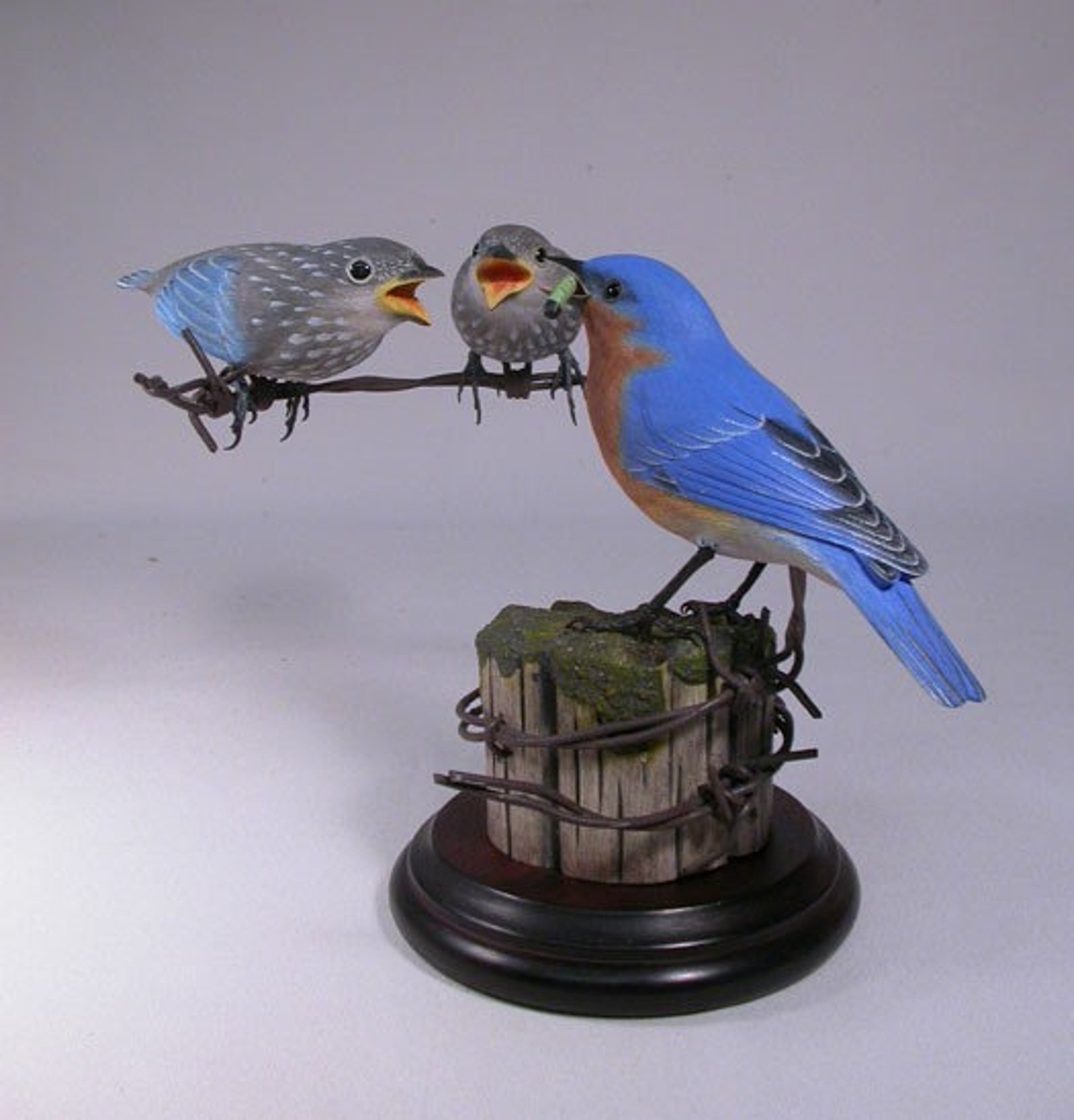 Eastern Bluebird Male With 2 Babies Hand Carved Wooden Bird - Etsy