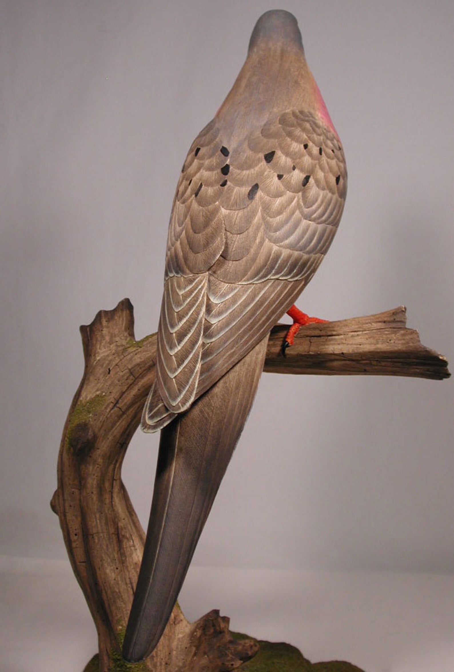 Extinct Passenger Pigeon Hand Carved Wooden Songbird - Etsy