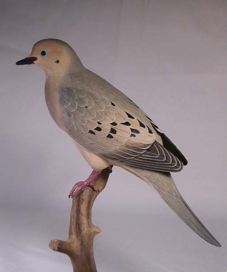 Life Size Mourning Dove Hand Carved Wooden Bird - Etsy