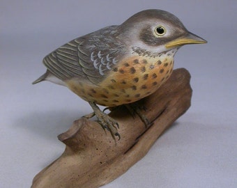 Life Size American Robin With a Baby Wood Carving | Etsy