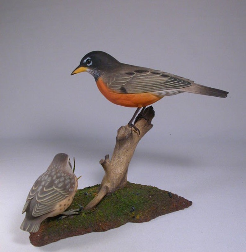 Life Size American Robin With a Baby Wood Carving - Etsy