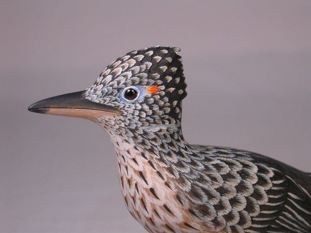 Greater Roadrunner Wooden Carved Bird - Etsy