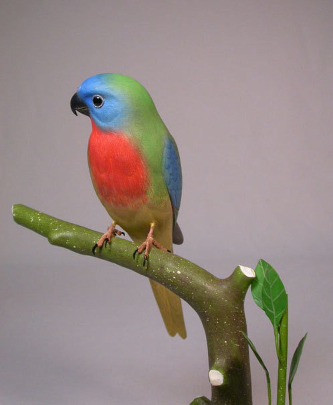 Splendid Grass Parakeet Wooden Carved Bird Carving - Etsy