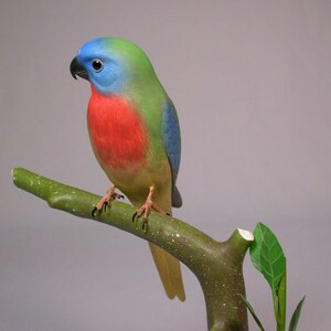 Splendid Grass Parakeet Wooden Carved Bird Carving - Etsy