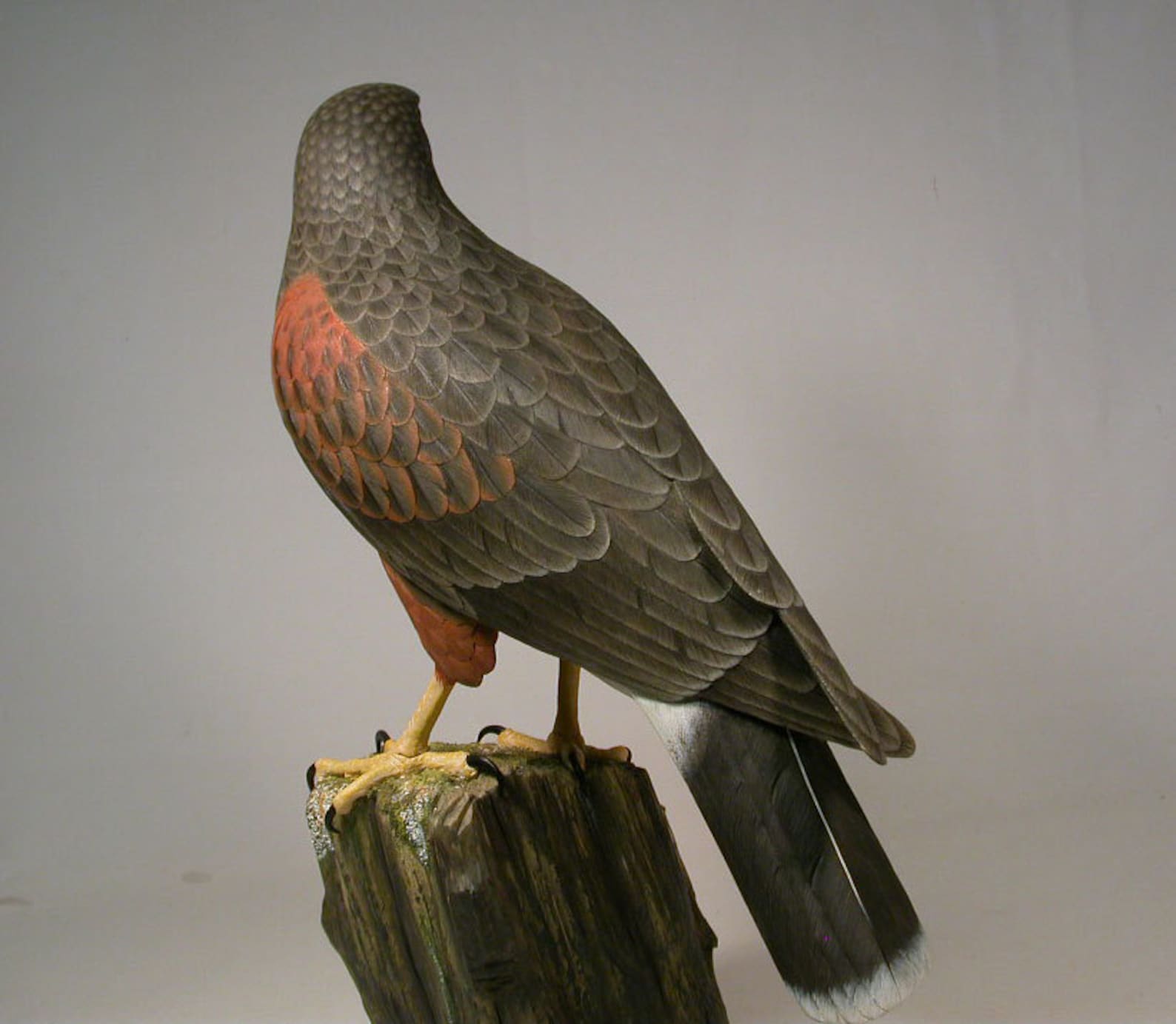 17 Harris's Hawk Hand Carved Wooden Bird Carving - Etsy