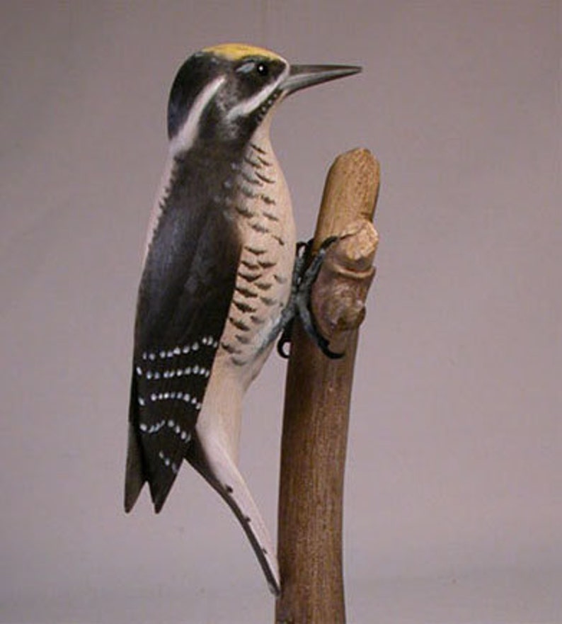 Three-toed Woodpecker Hand Carved Wooden Bird - Etsy