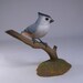 Black-crested Titmouse Hand Carved and Hand Painted Wooden Bird - Etsy