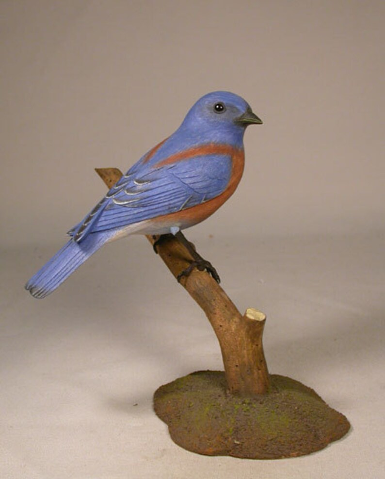 Western Bluebird Hand Carved Wooden Songbird - Etsy