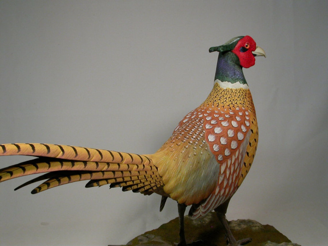 26" Ring-necked Pheasant Hand Carved Wooden Bird Carving - Etsy