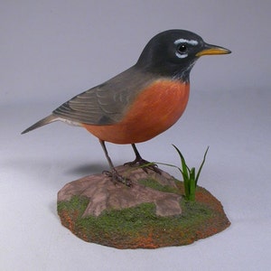 Life Size 9 Inch American Robin Wooden Carved Bird - Etsy