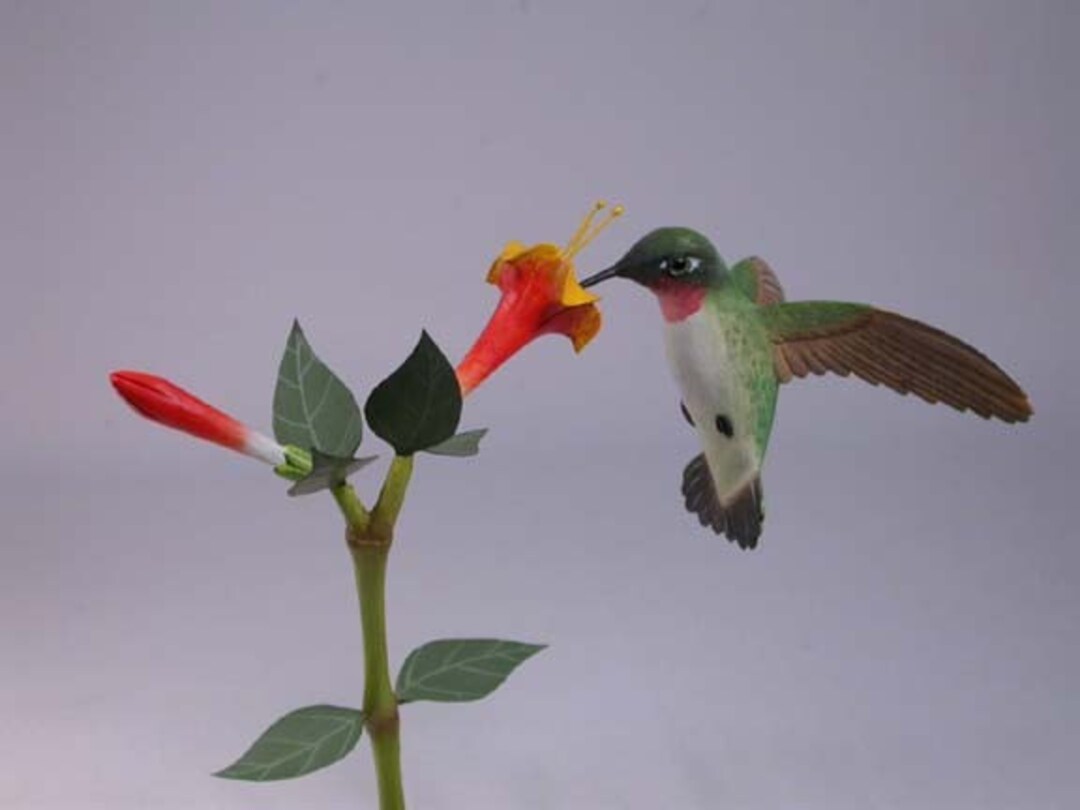 Open-winged Ruby-throated Hummingbird #1 Hand Carved Wooden Bird - Etsy