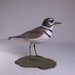 Killdeer Hand Carved and Hand Painted Water Bird - Etsy