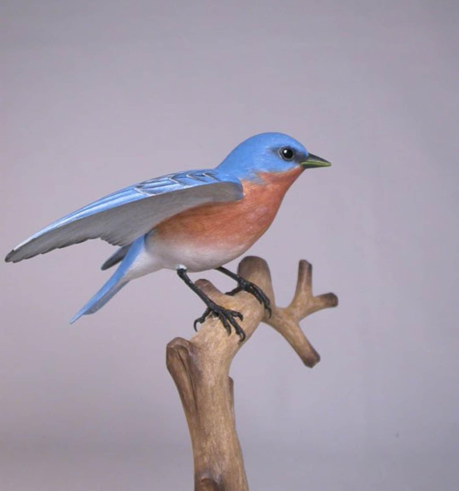 Open-winged Eastern Bluebird Wooden Carved Bird Carving - Etsy