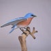 Open-winged Eastern Bluebird Wooden Carved Bird Carving - Etsy