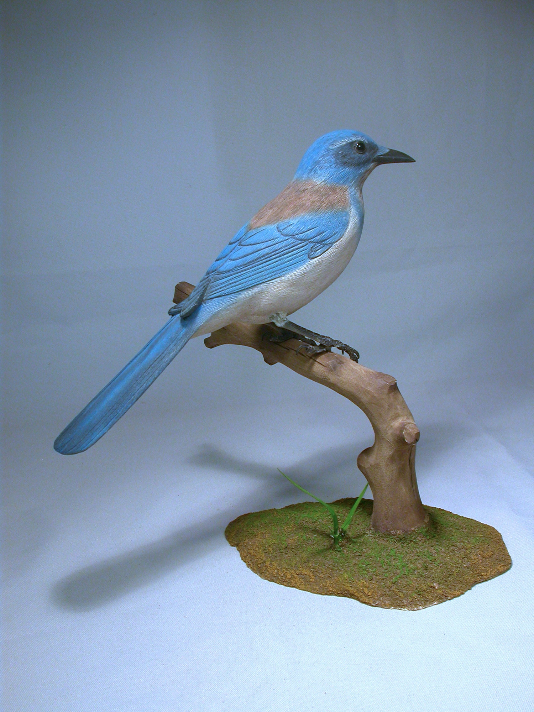Western Scrub Jay Wooden Hand Carved Bird Carving - Etsy