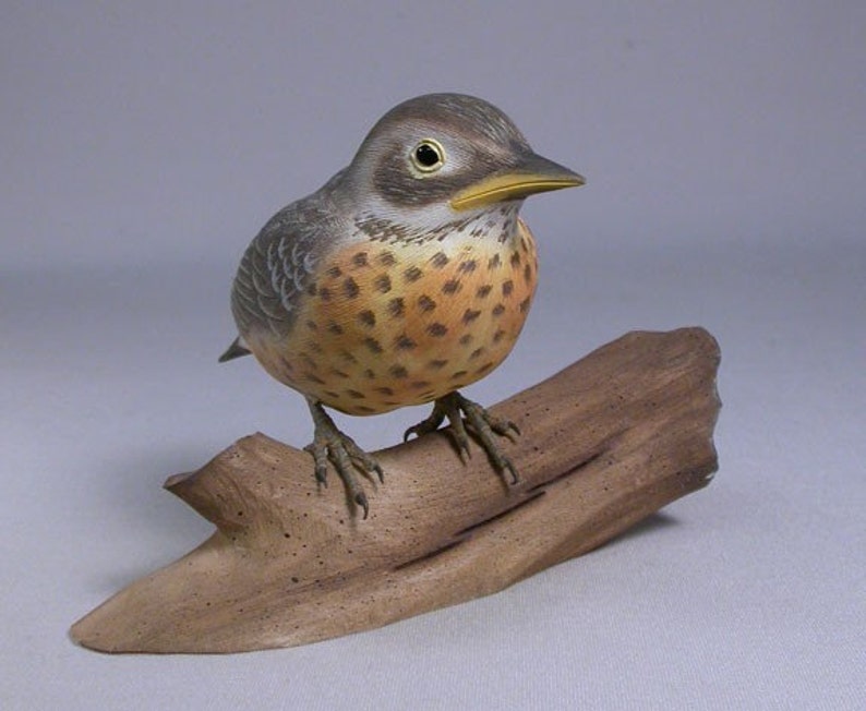 Baby American Robin Original Wood Carving - Etsy