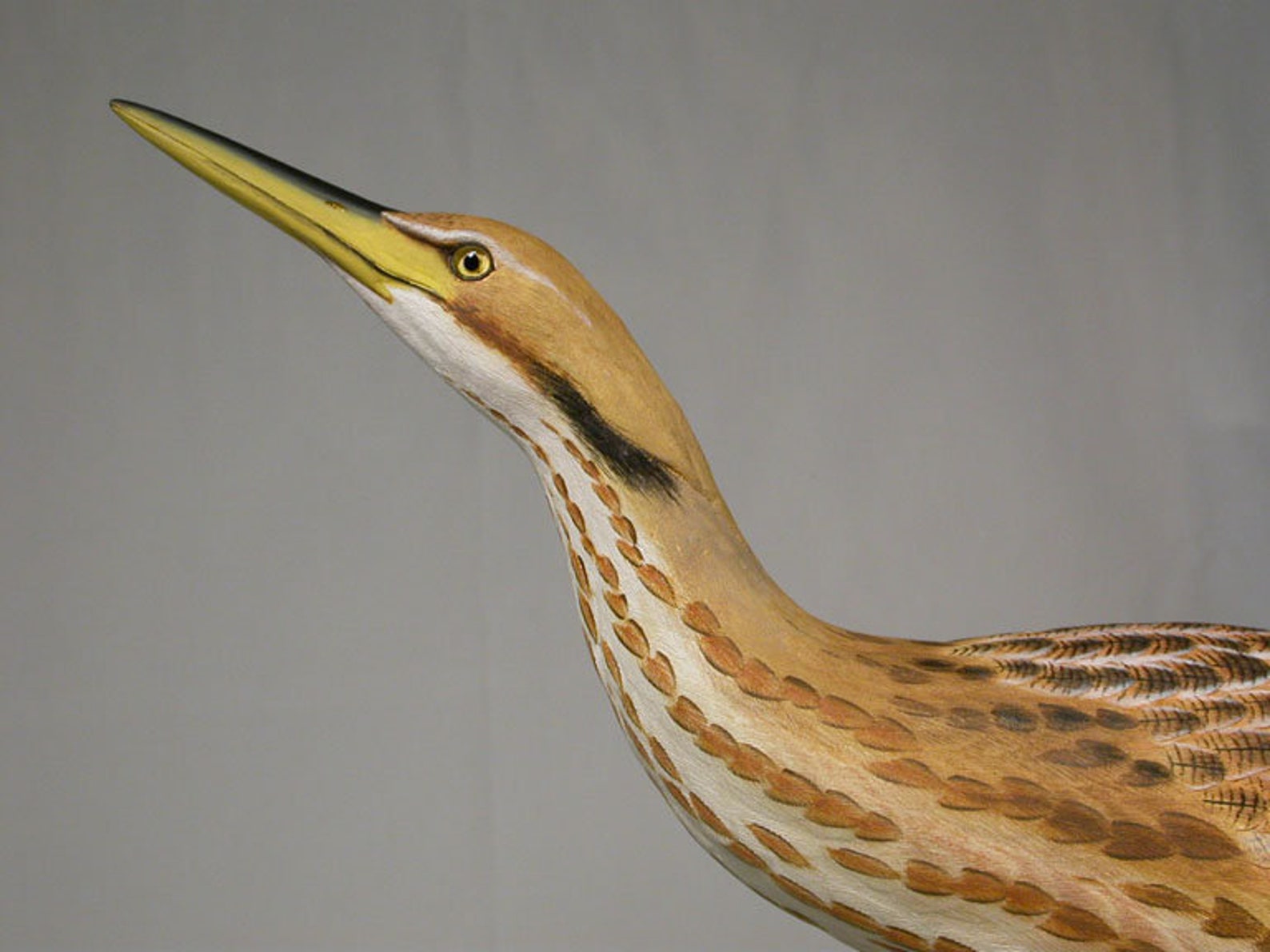 21 Inch American Bittern Hand Carved Wooden Bird - Etsy