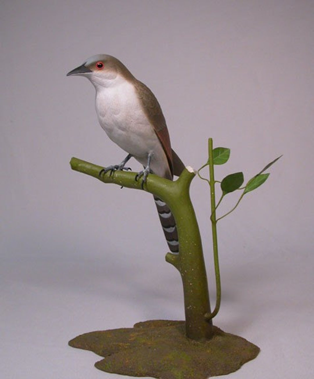 Black-billed Cuckoo Hand Carved Wooden Bird - Etsy