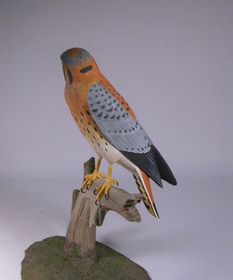 9.5 Inch American Kestrel Male Hand Carved Wooden Bird Carving - Etsy