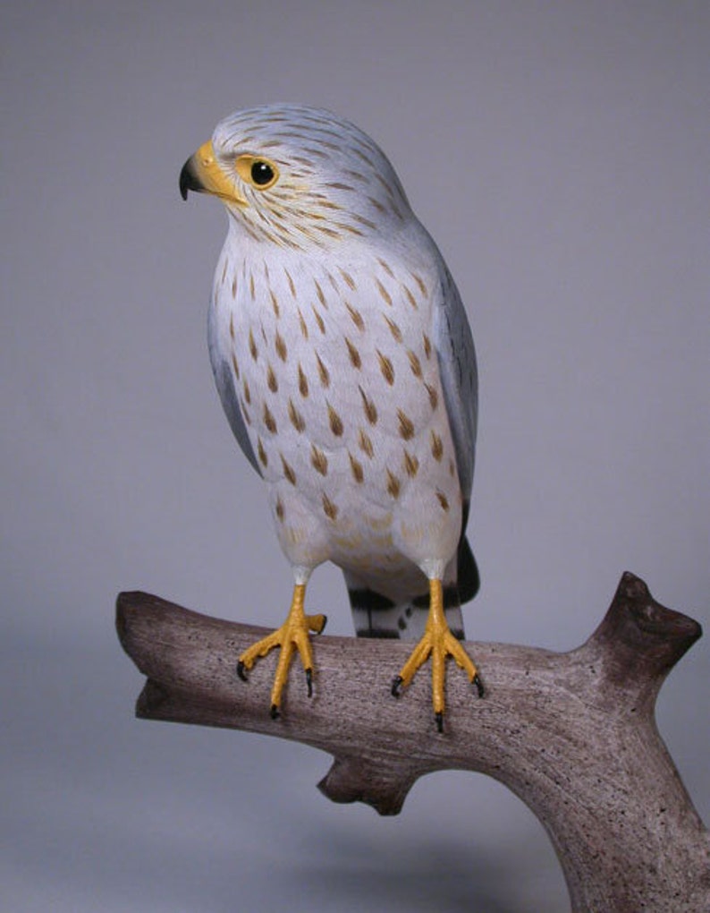 Life Size Merlin Wooden Carved Bird Carving - Etsy