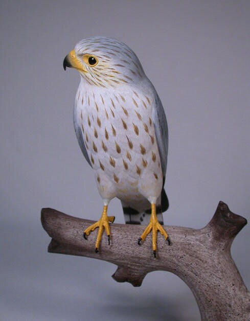Life Size Merlin Wooden Carved Bird Carving - Etsy