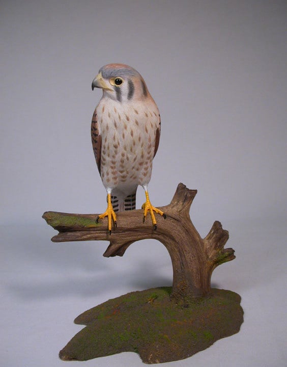 9-1/2 Inch American Kestrel Female Hand Carved Wooden Bird - Etsy