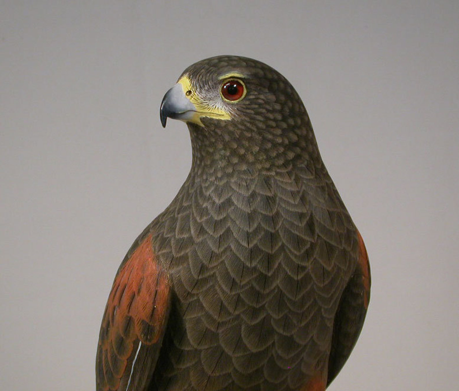 17 Harris's Hawk Hand Carved Wooden Bird Carving - Etsy