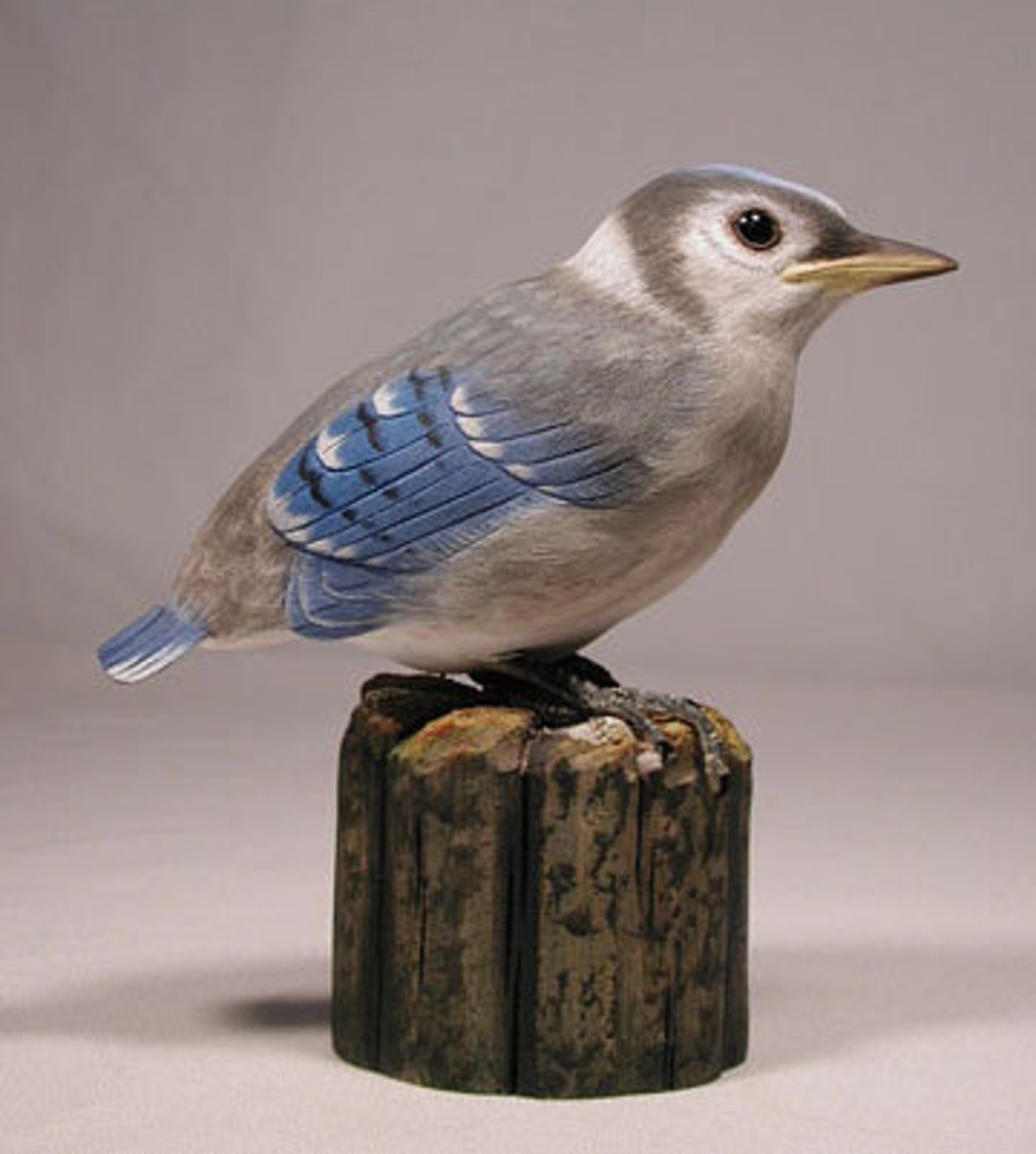 Baby Blue Jay Original Wood Carving - Etsy