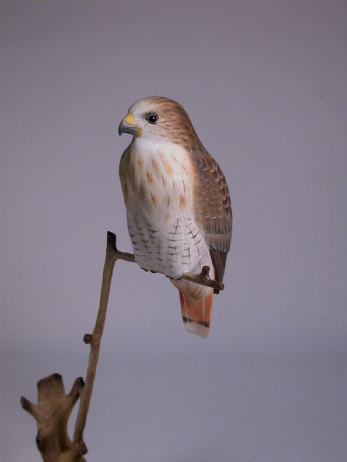 5-1/2 Inches Red-tailed Hawk Hand Carved and Hand Painted Wooden Bird ...