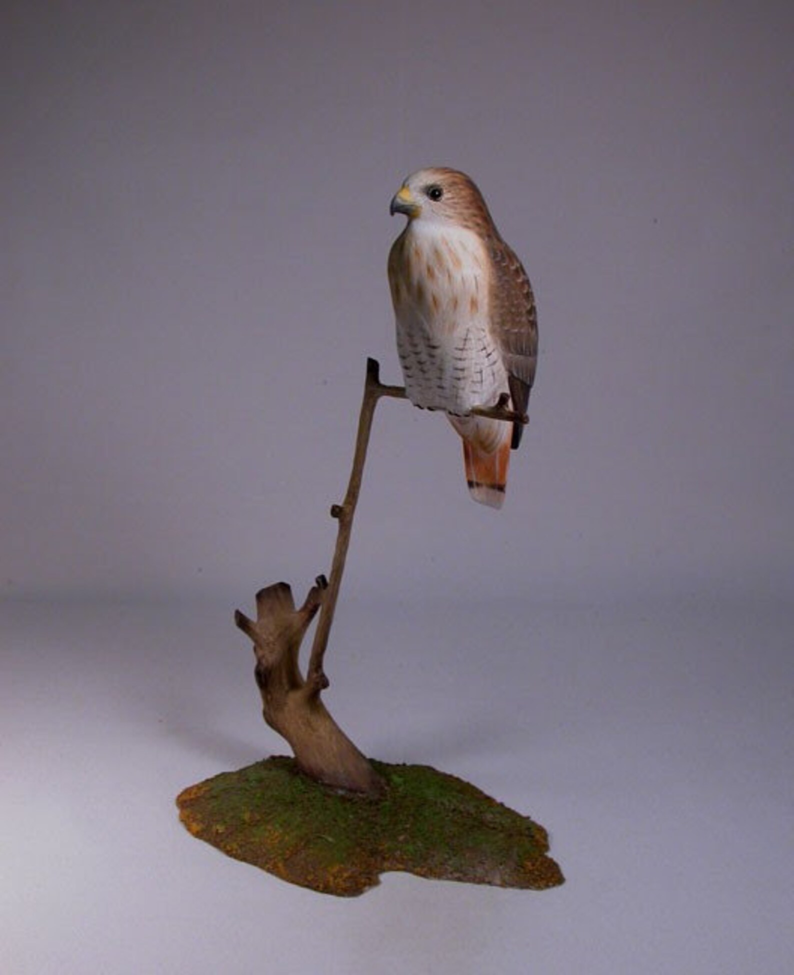 5-1/2 Inches Red-tailed Hawk Hand Carved and Hand Painted Wooden Bird ...