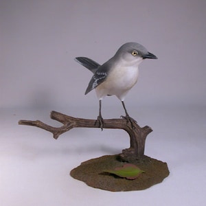 Northern Mockingbird Wooden Carved Bird Carving - Etsy
