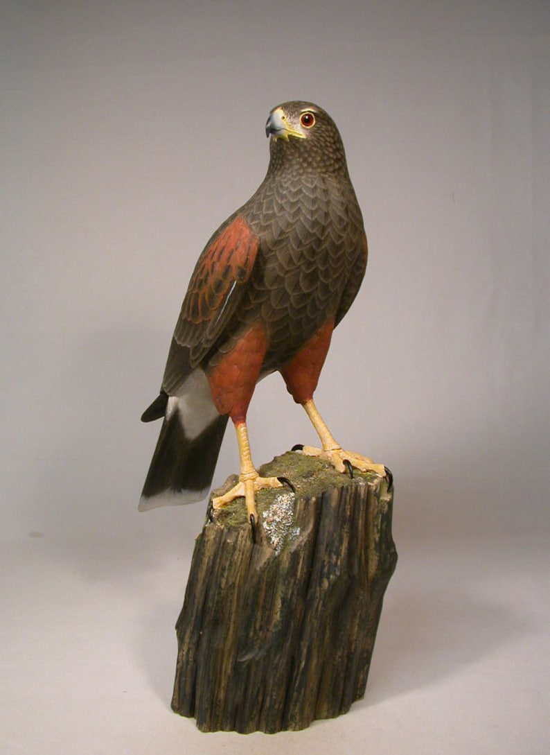 17 Harris's Hawk Hand Carved Wooden Bird Carving - Etsy